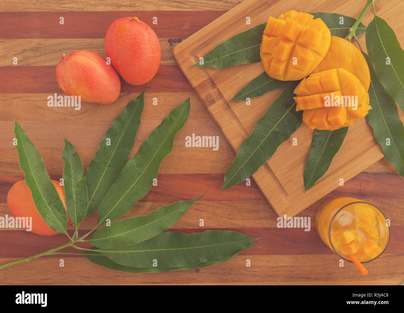 Matte tone hi-res stock photography and images - Alamy