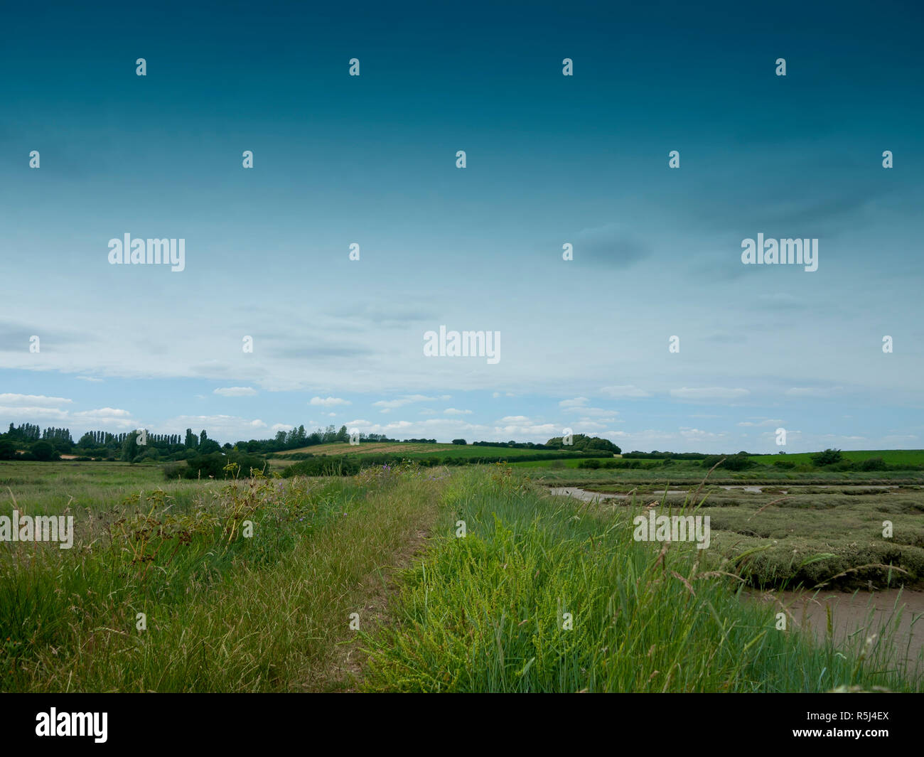 countryside walking path outside through meadow Stock Photo - Alamy