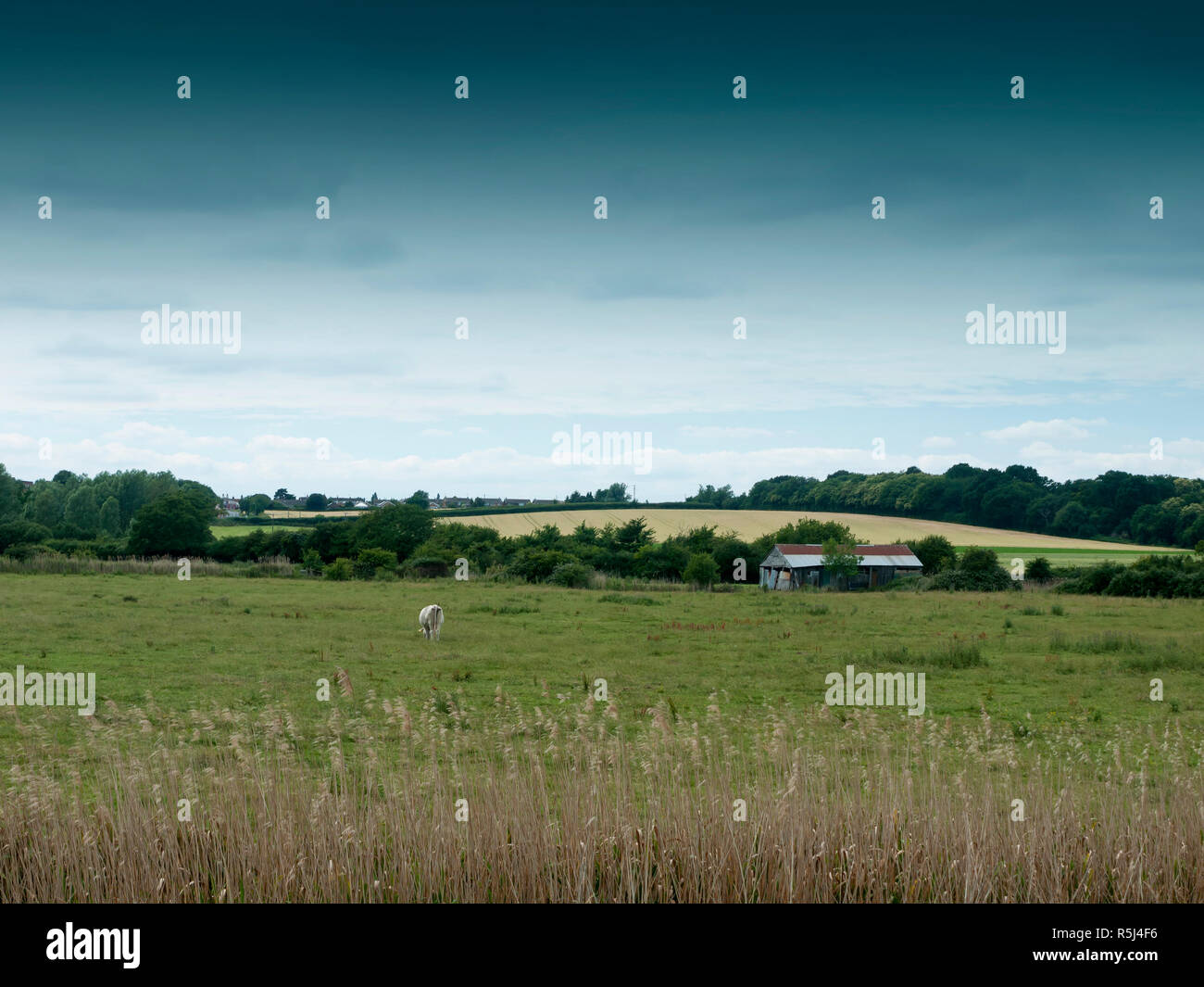 english farm fields in the countryside UK Stock Photo - Alamy