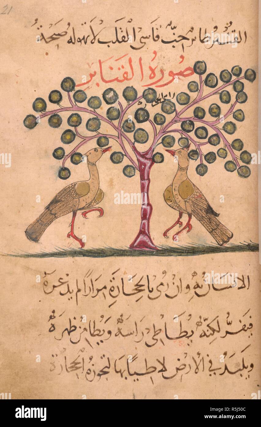 Kitab al hayawan hi-res stock photography and images - Alamy