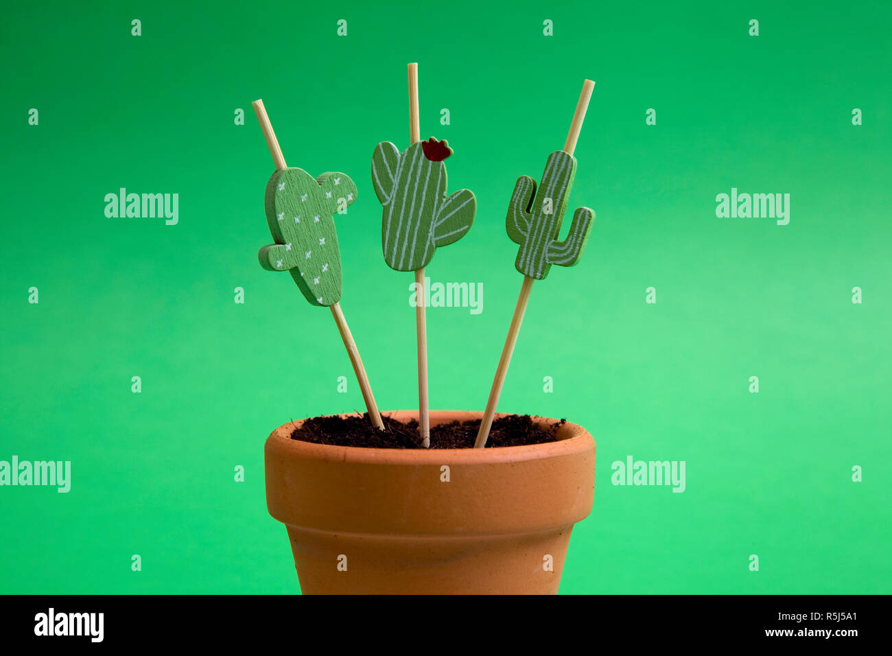 Fireworks cactus hi-res stock photography and images - Alamy