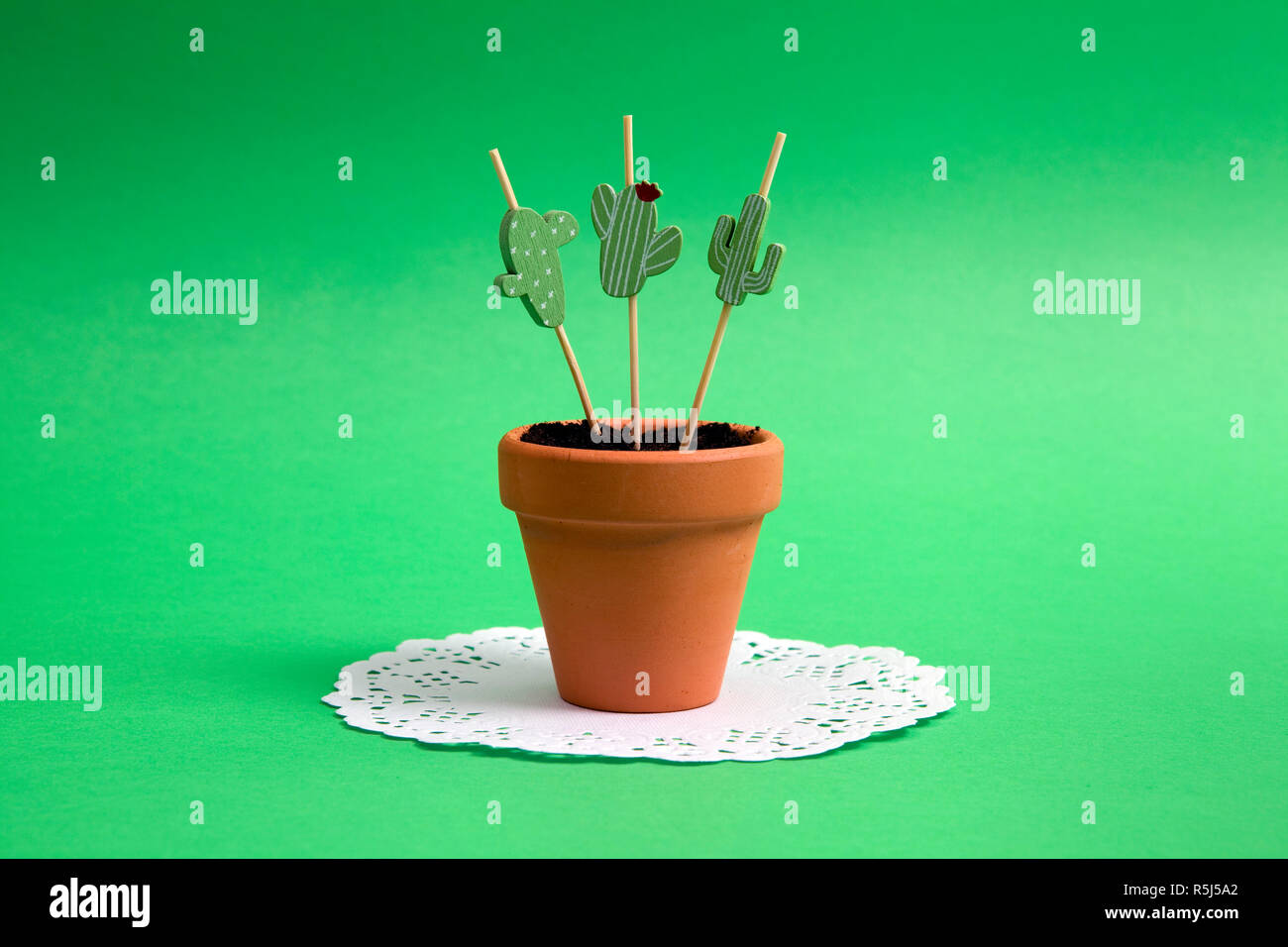 Fireworks cactus hi-res stock photography and images - Alamy
