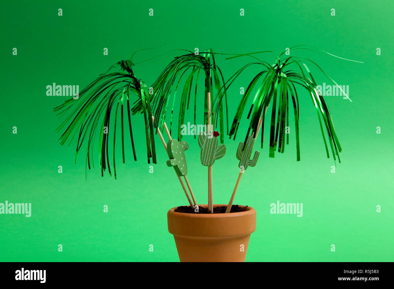 Fireworks cactus hi-res stock photography and images - Alamy