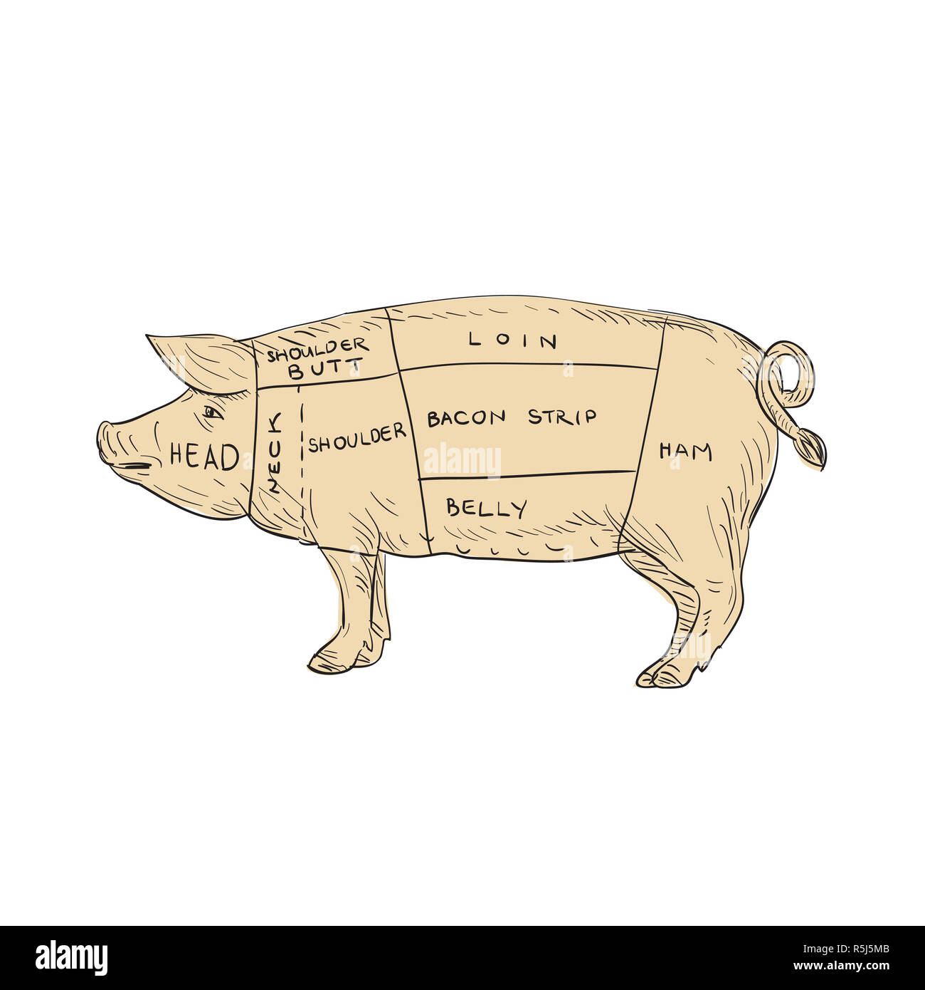 Pig meat map hi-res stock photography and images - Alamy