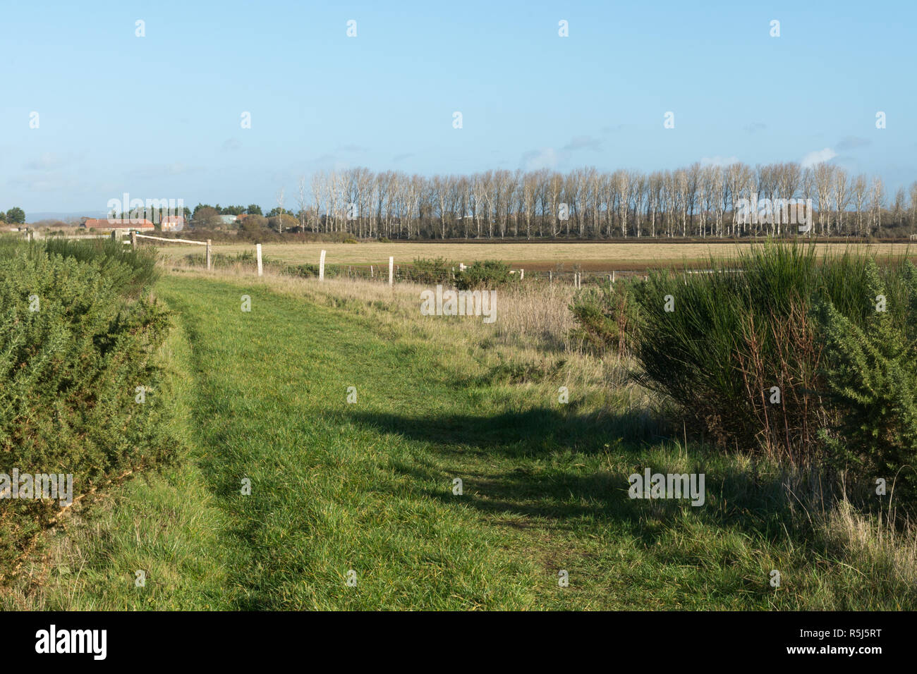 Rspb medmerry nature reserve hi-res stock photography and images - Alamy