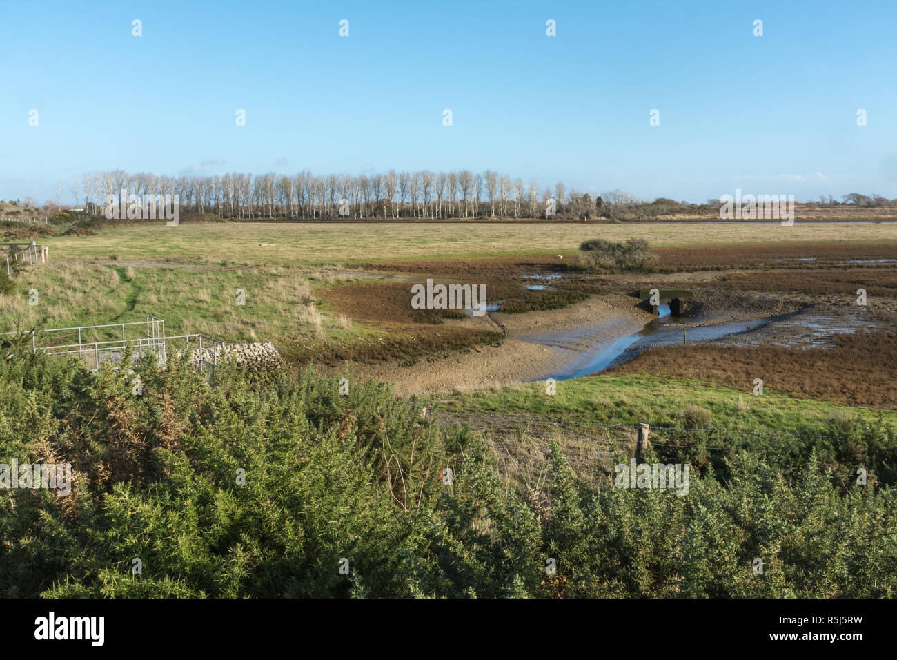 Medmerry rspb reserve hi-res stock photography and images - Alamy
