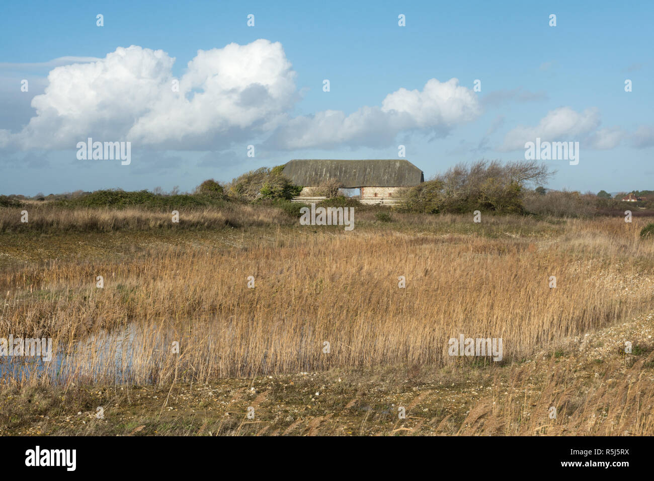 Rspb medmerry nature reserve hi-res stock photography and images - Alamy