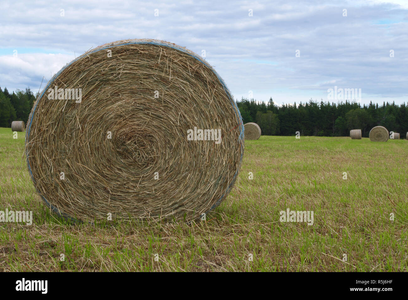 Agriculture or farming circle hi-res stock photography and images - Alamy
