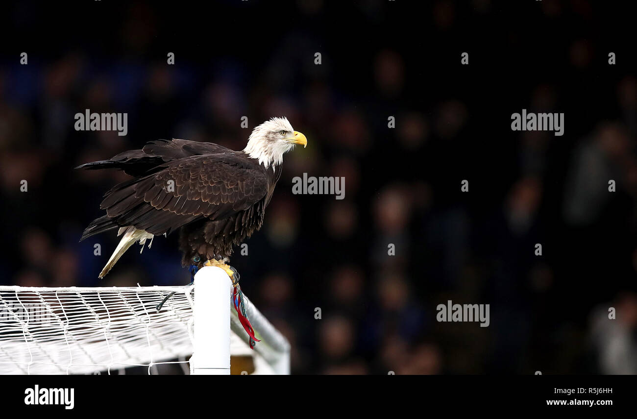 The Crystal Palace eagle mascot Kayla during the Premier League match ...