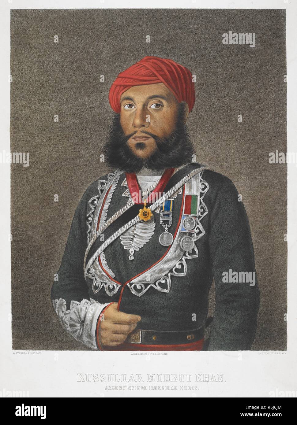 The scinde horse hi-res stock photography and images - Alamy