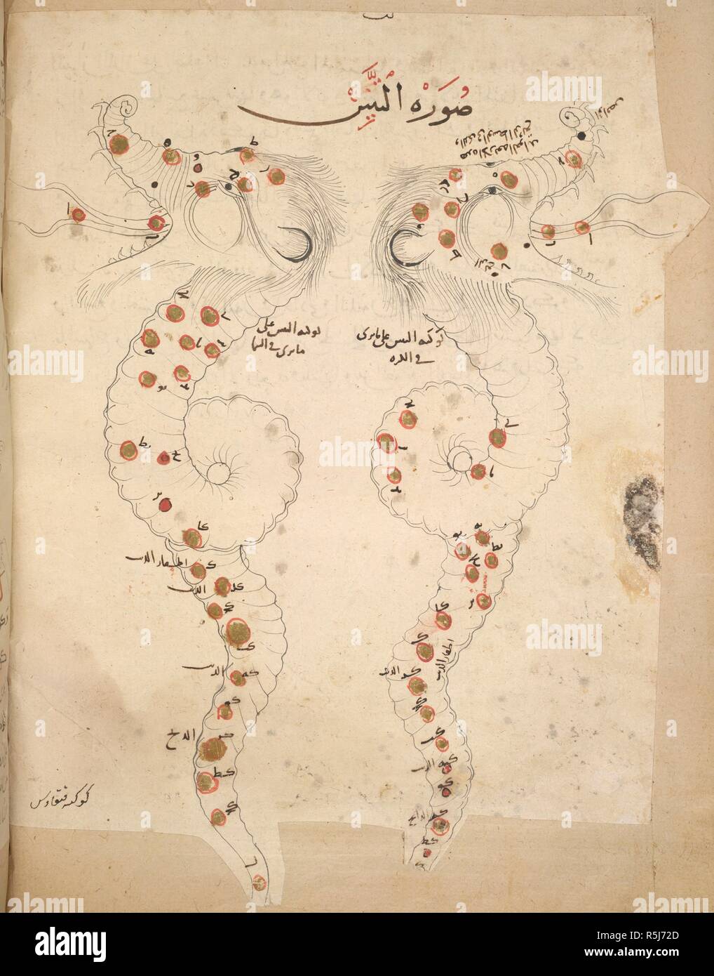 Al sufi constellation hi-res stock photography and images - Alamy