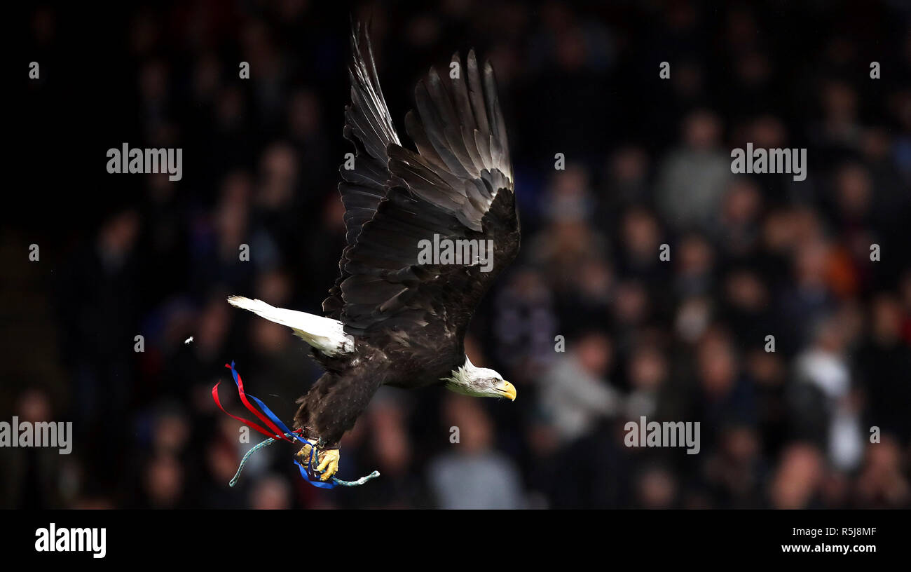The Crystal Palace eagle mascot Kayla during the Premier League match ...