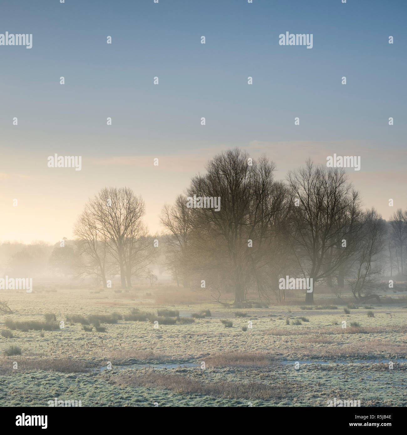 Mist field norfolk england hi-res stock photography and images - Alamy