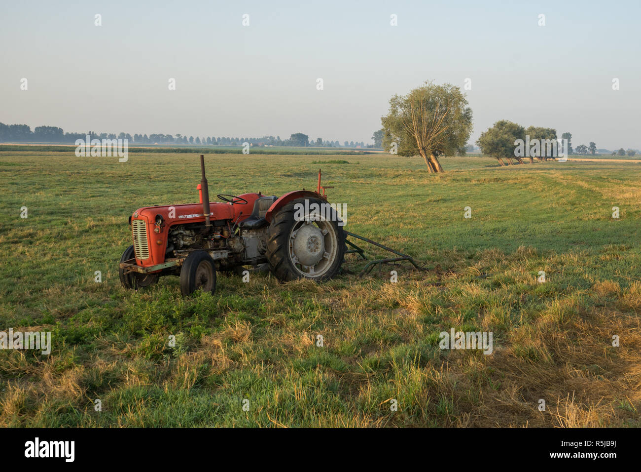 Old tractor in field in West Flanders Belgium Stock Photo - Alamy