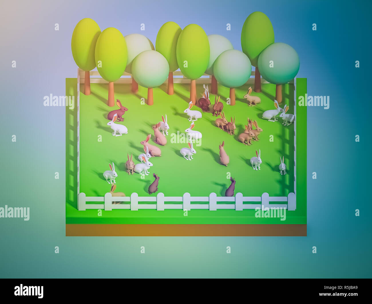 Tropical ocean animals map hi-res stock photography and images - Alamy