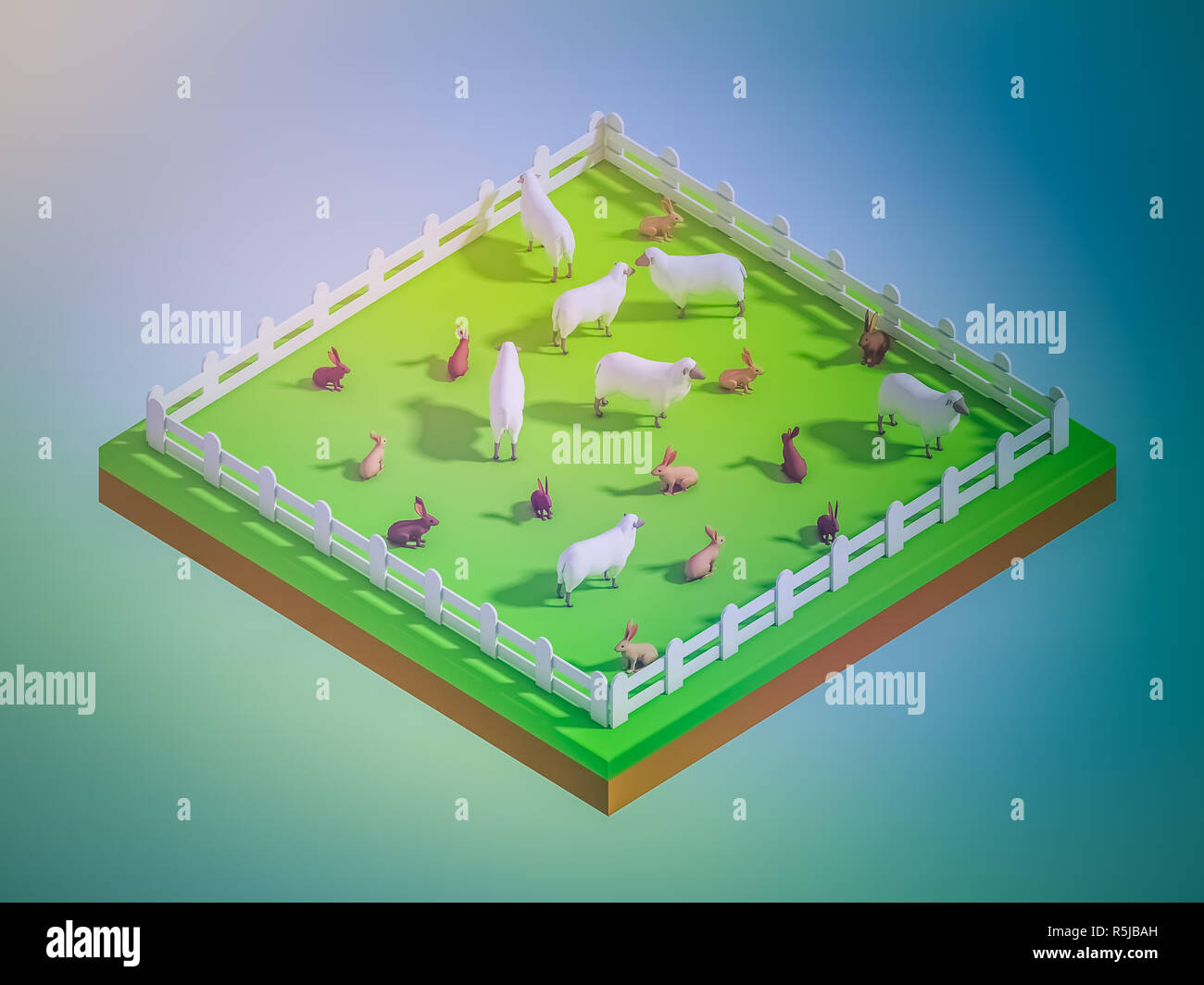 Tropical ocean animals map hi-res stock photography and images - Alamy