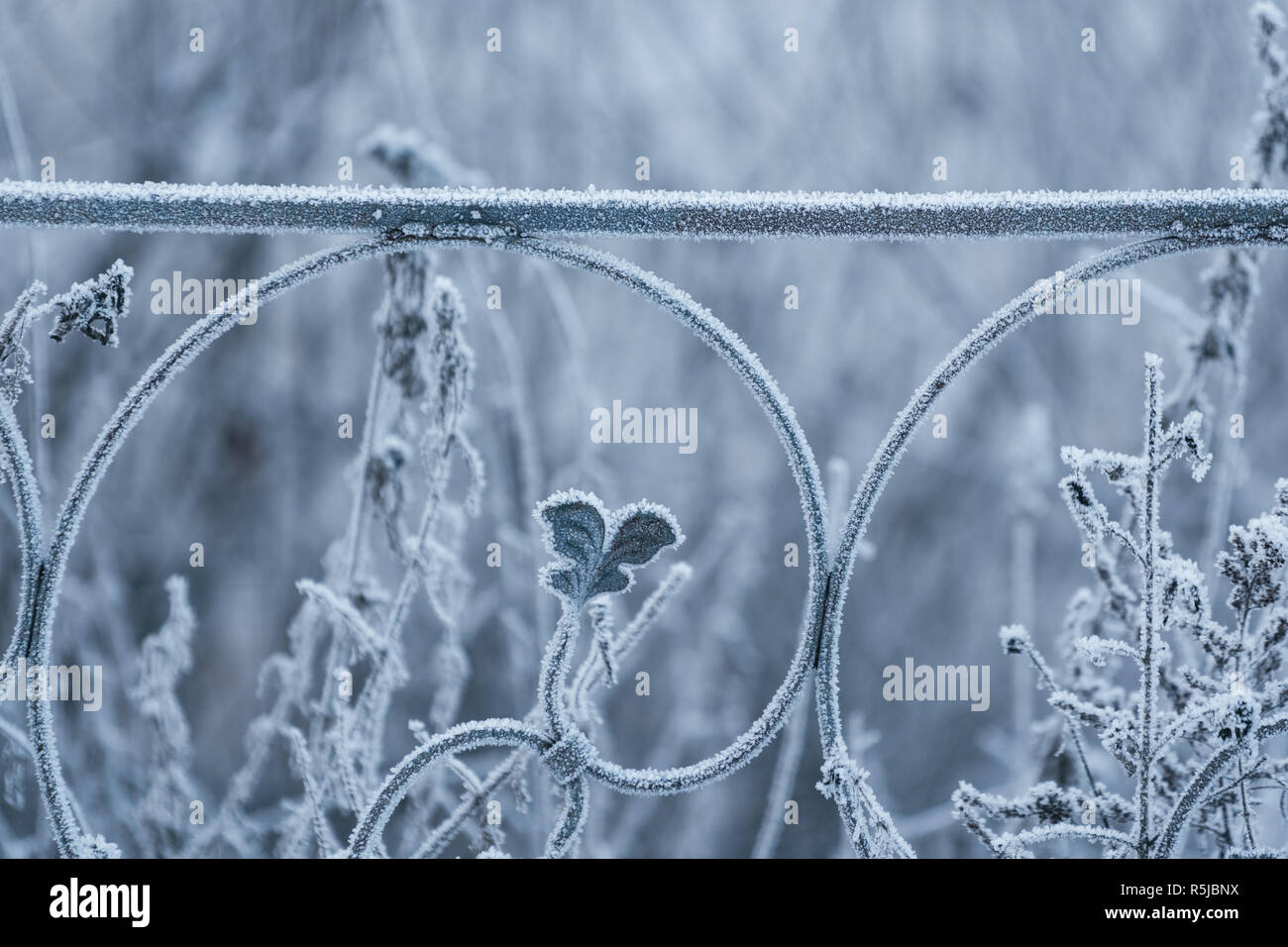 Ice-cold metal fence Stock Photo - Alamy