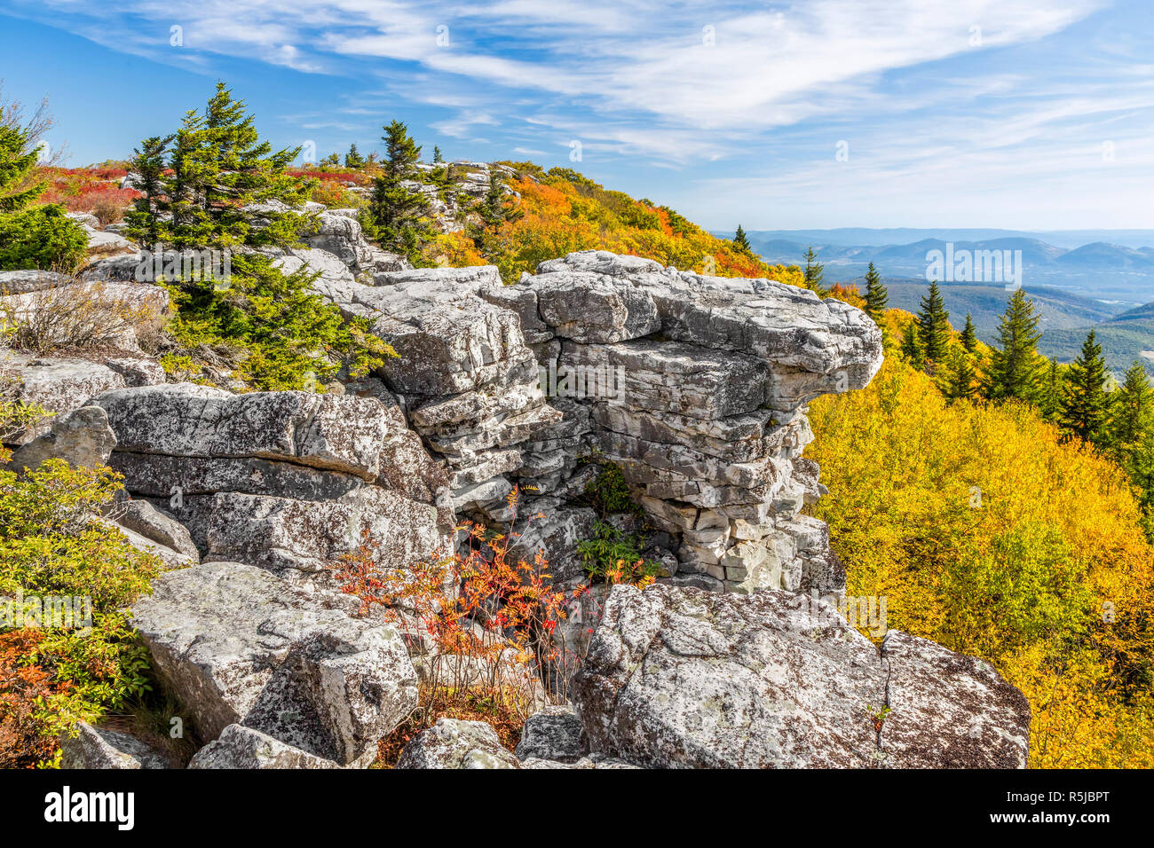 Colorful fall foliage adorns Bear Rocks at the Dolly Sods Wilderness in ...