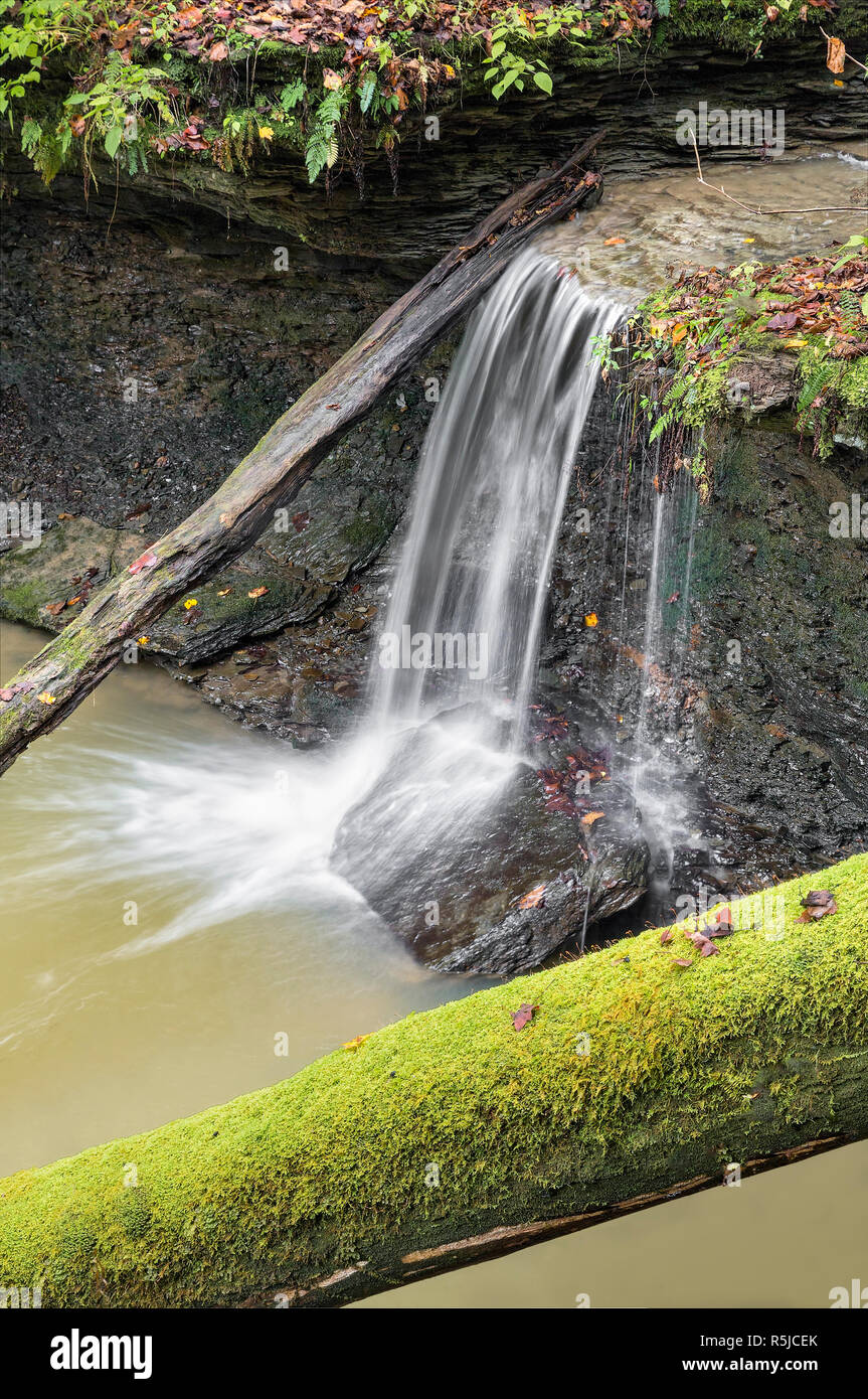 Water over waterfall fallen tree hi-res stock photography and images ...