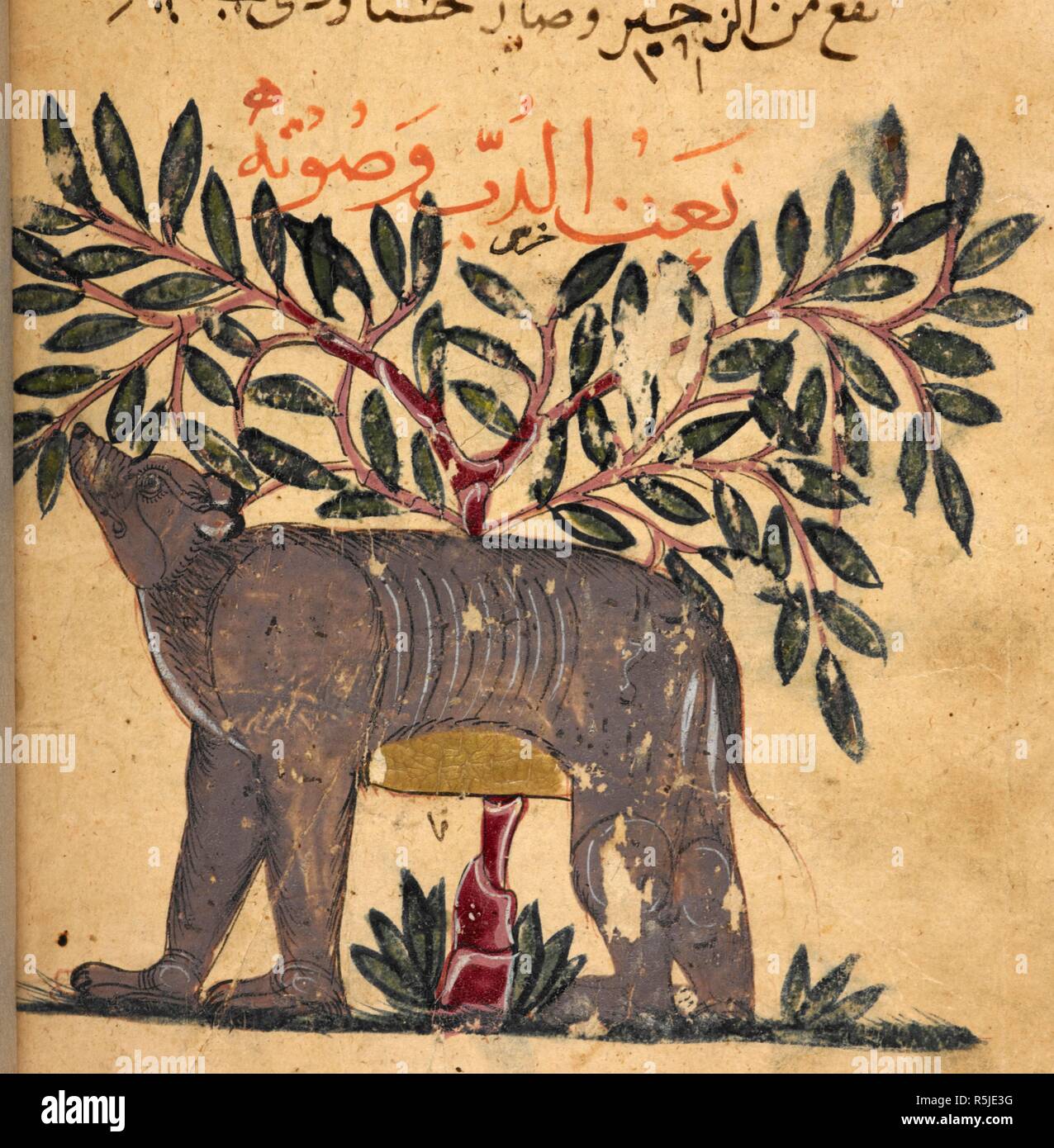 A bear. Kitab Na't al-hayawan (book of the characteristics of animals ...