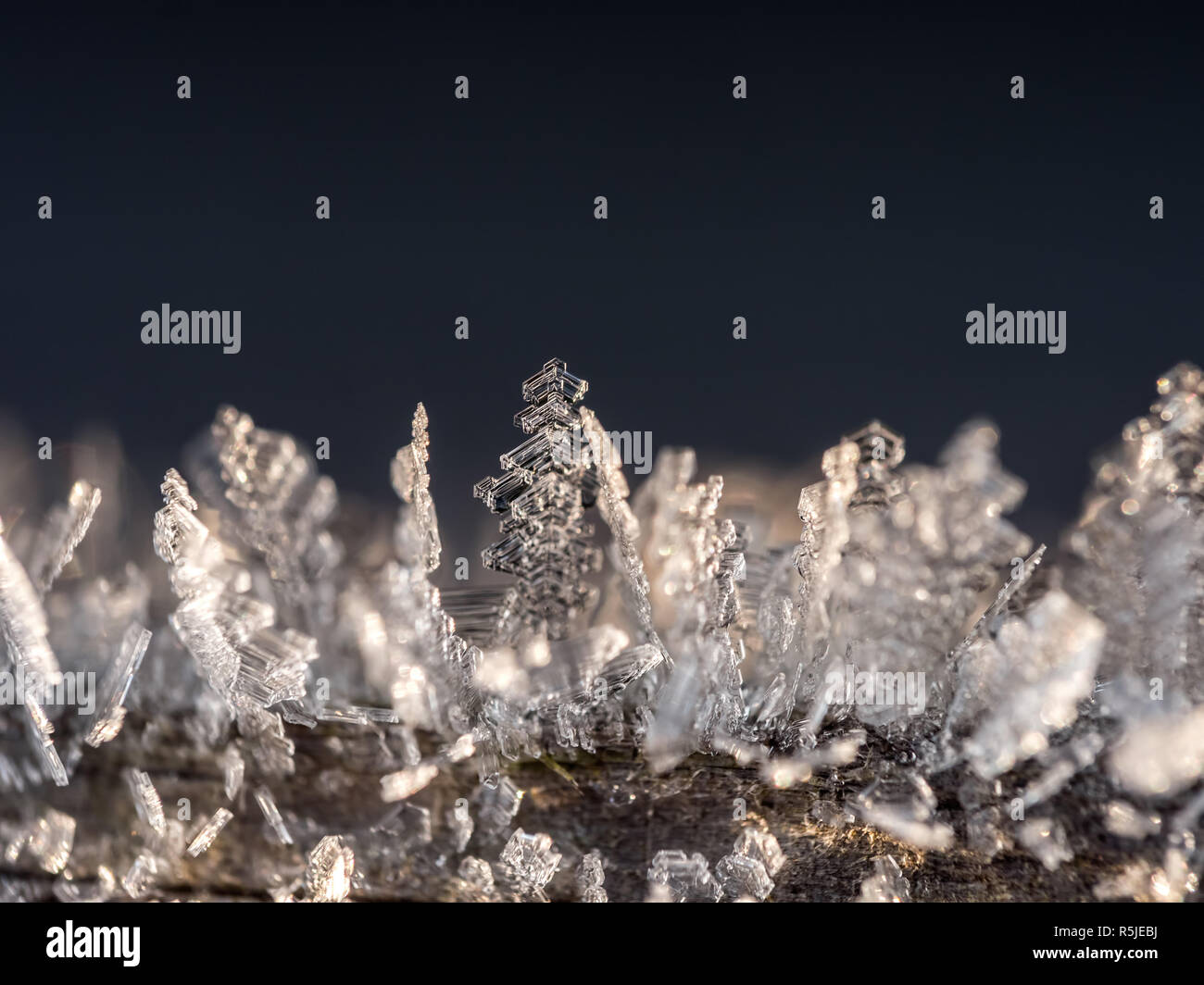 Frost crystals forming beautiful geometrical shapes on wood surface ...