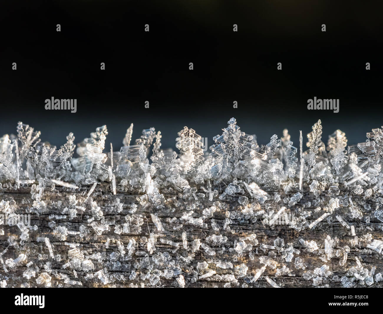 Frost crystals forming beautiful geometrical shapes on wood surface ...