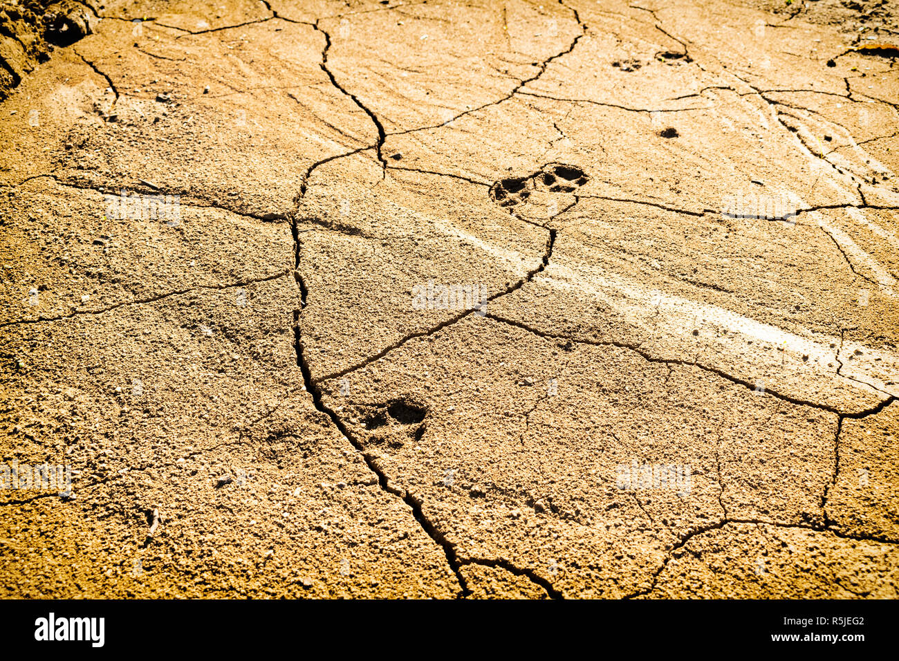 Dirty footprints hi-res stock photography and images - Alamy