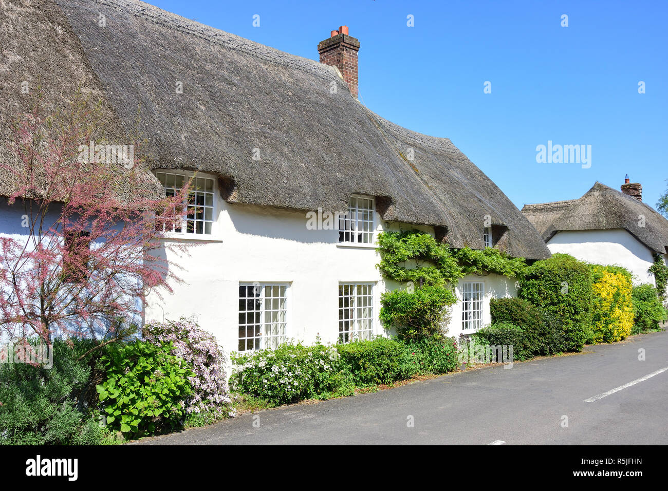Thatched cottages, Throop, Briantspuddle, Dorset, England, United ...