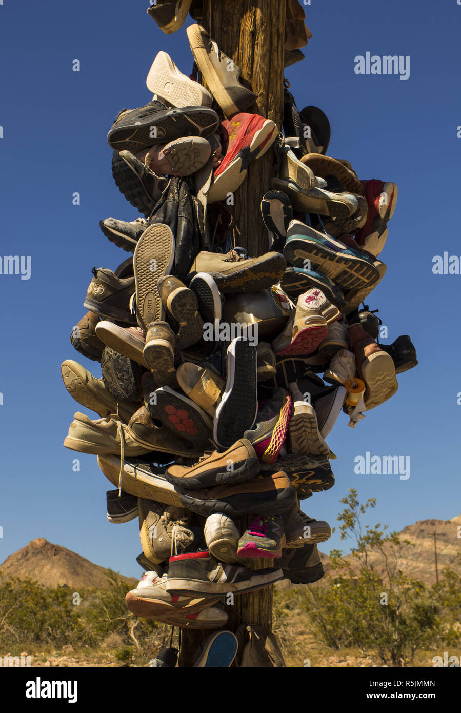 Shoe tree nevada hi-res stock photography and images - Alamy