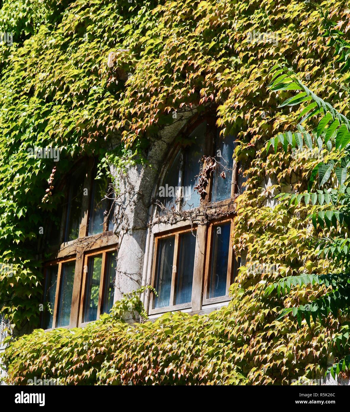 Hotel arched windows hi-res stock photography and images - Alamy