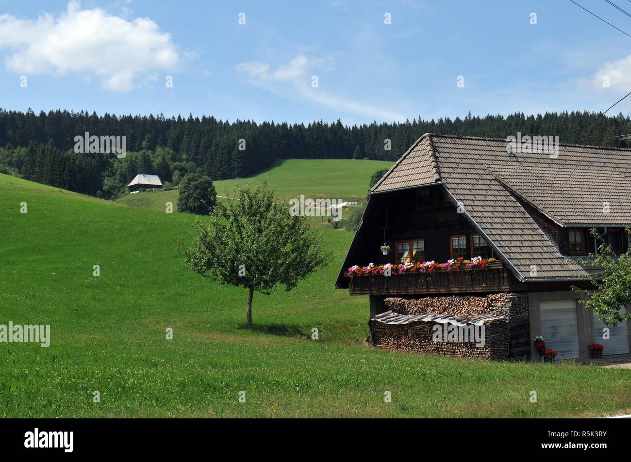 Black forest house hi-res stock photography and images - Alamy