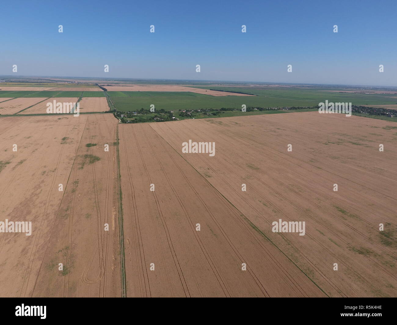 field of wheat, a top view Stock Photo - Alamy