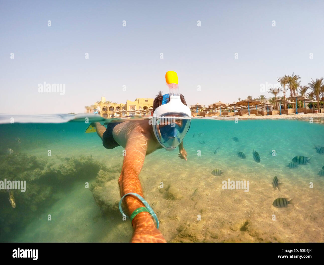 Snorkel swim in shallow water with coral fish, Red Sea, Egypt Stock ...