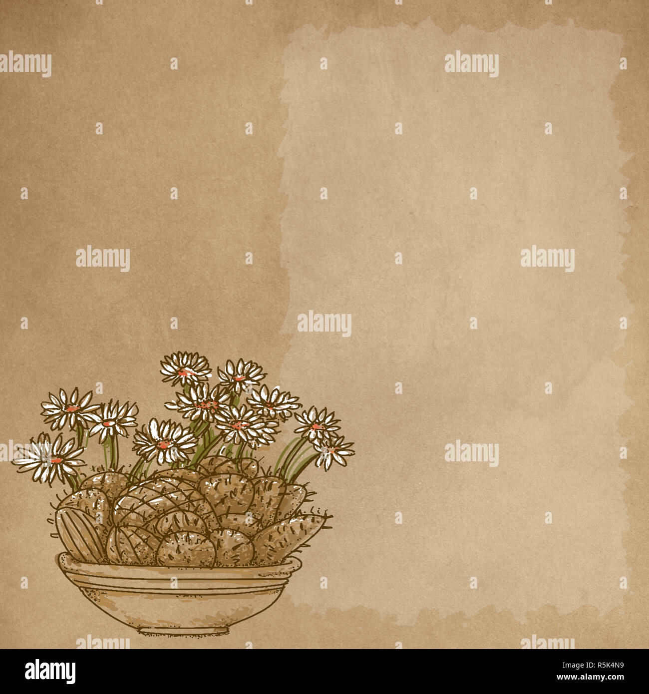 realistic designs to the stretch of the plants garden flowers,plants ...