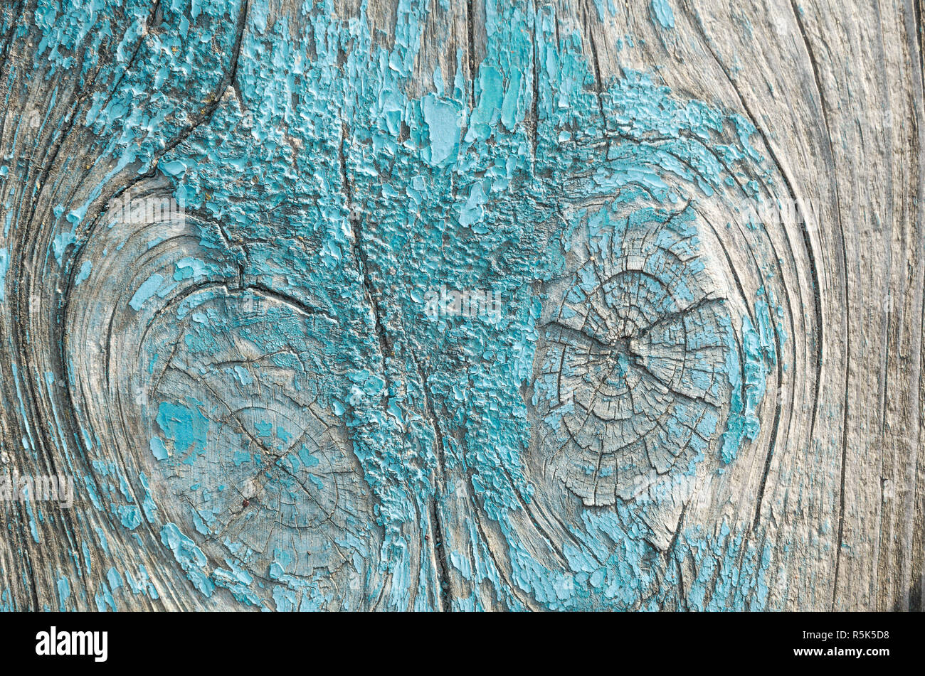 The texture is an old blue paint on the wood Stock Photo - Alamy