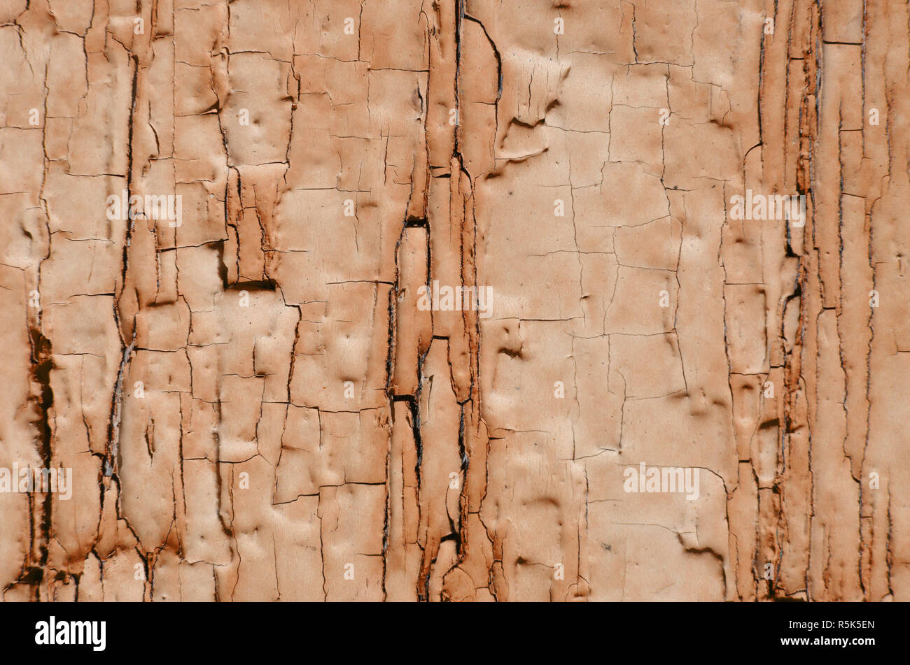 Light brown paint hi-res stock photography and images - Alamy