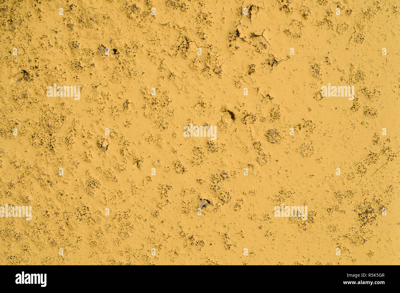 Texture of the yellow paint on the concrete Stock Photo - Alamy