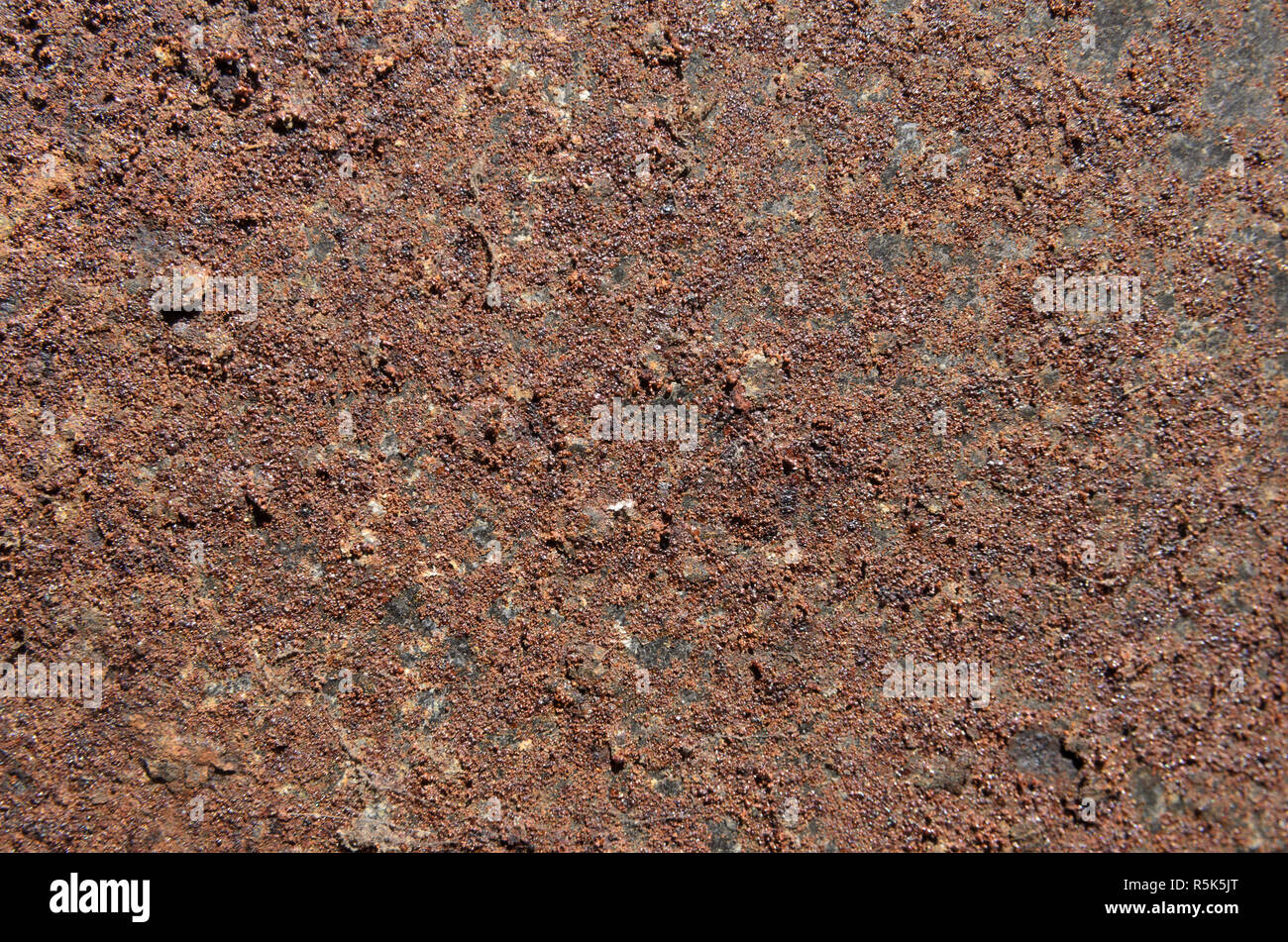 rusty iron with grains Stock Photo - Alamy