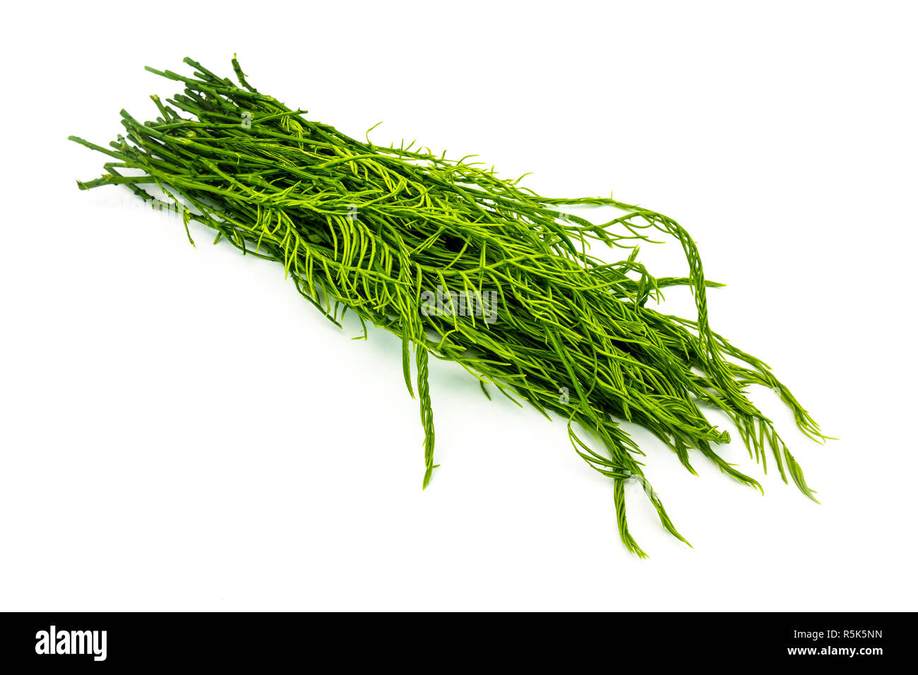 Cha om hi-res stock photography and images - Alamy