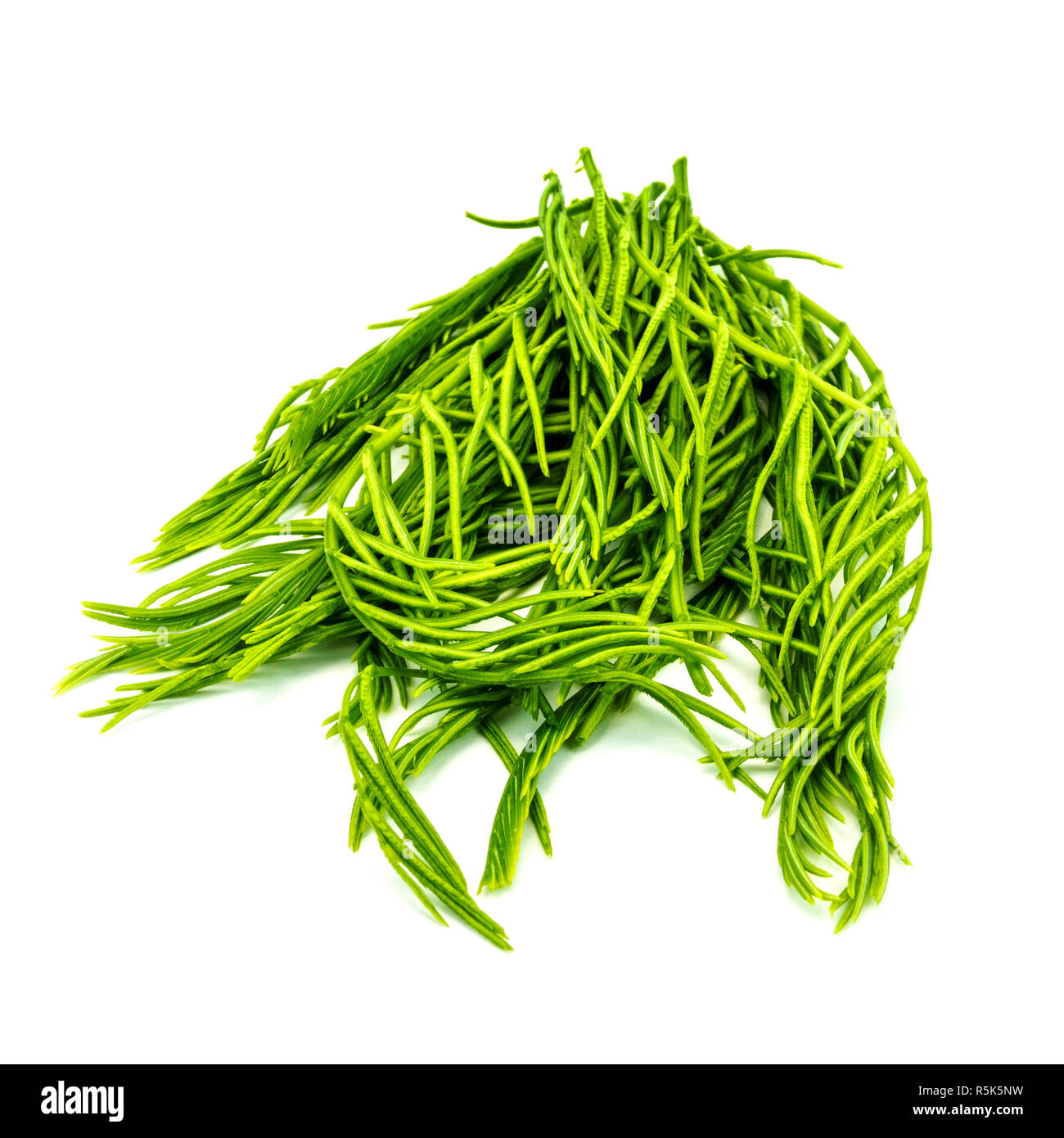 Cha an thailand Cut Out Stock Images & Pictures - Alamy