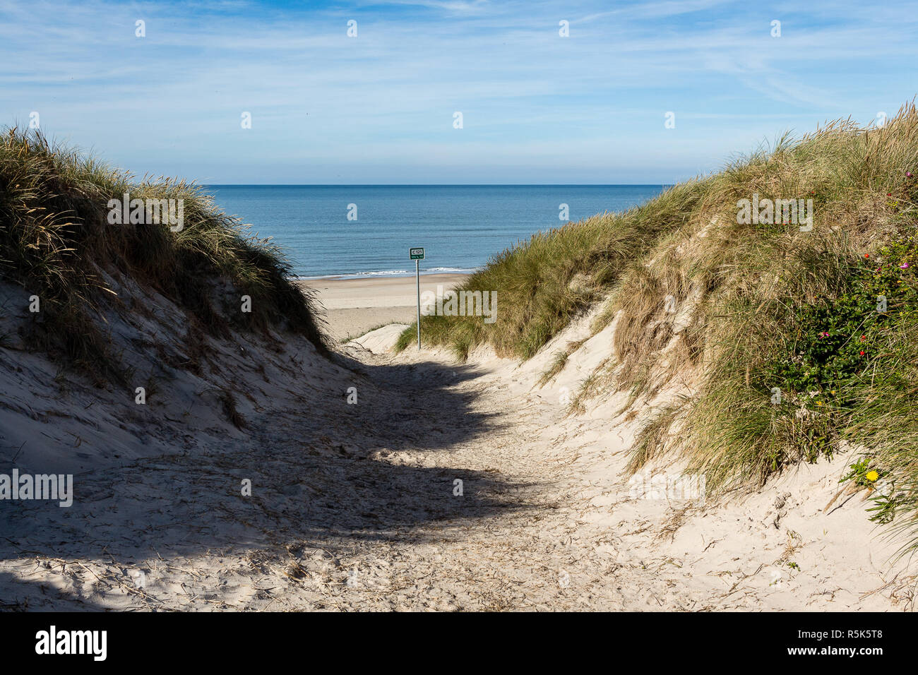 Sondervig Denmark High Resolution Stock Photography and Images - Alamy