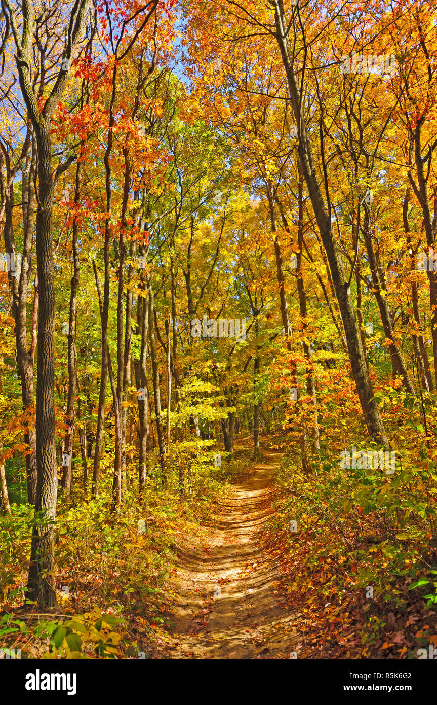 Shaded trail in fall hi-res stock photography and images - Alamy