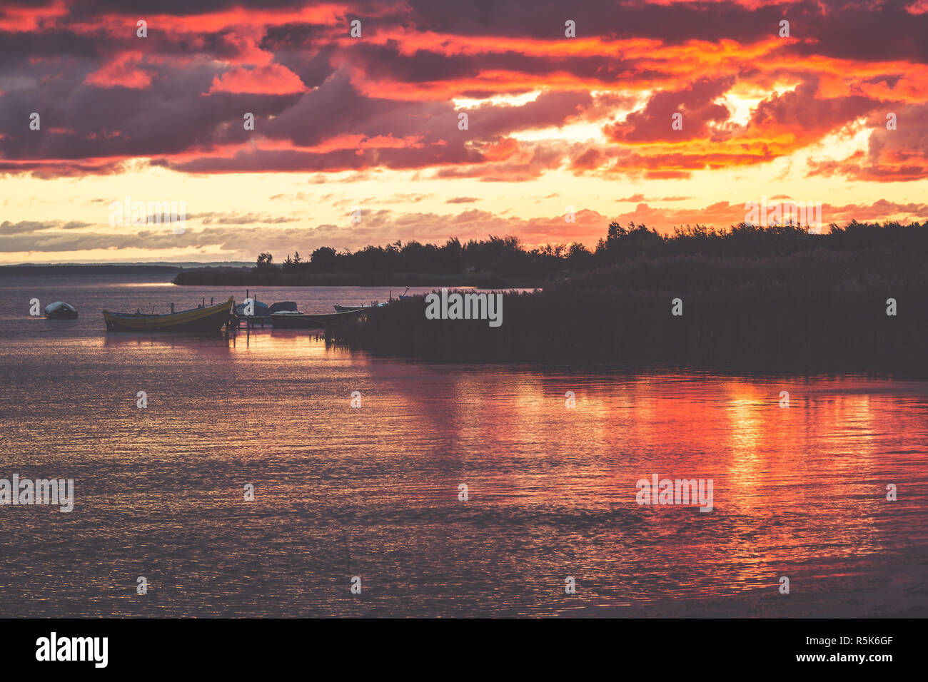 Digitizing puck hi-res stock photography and images - Alamy