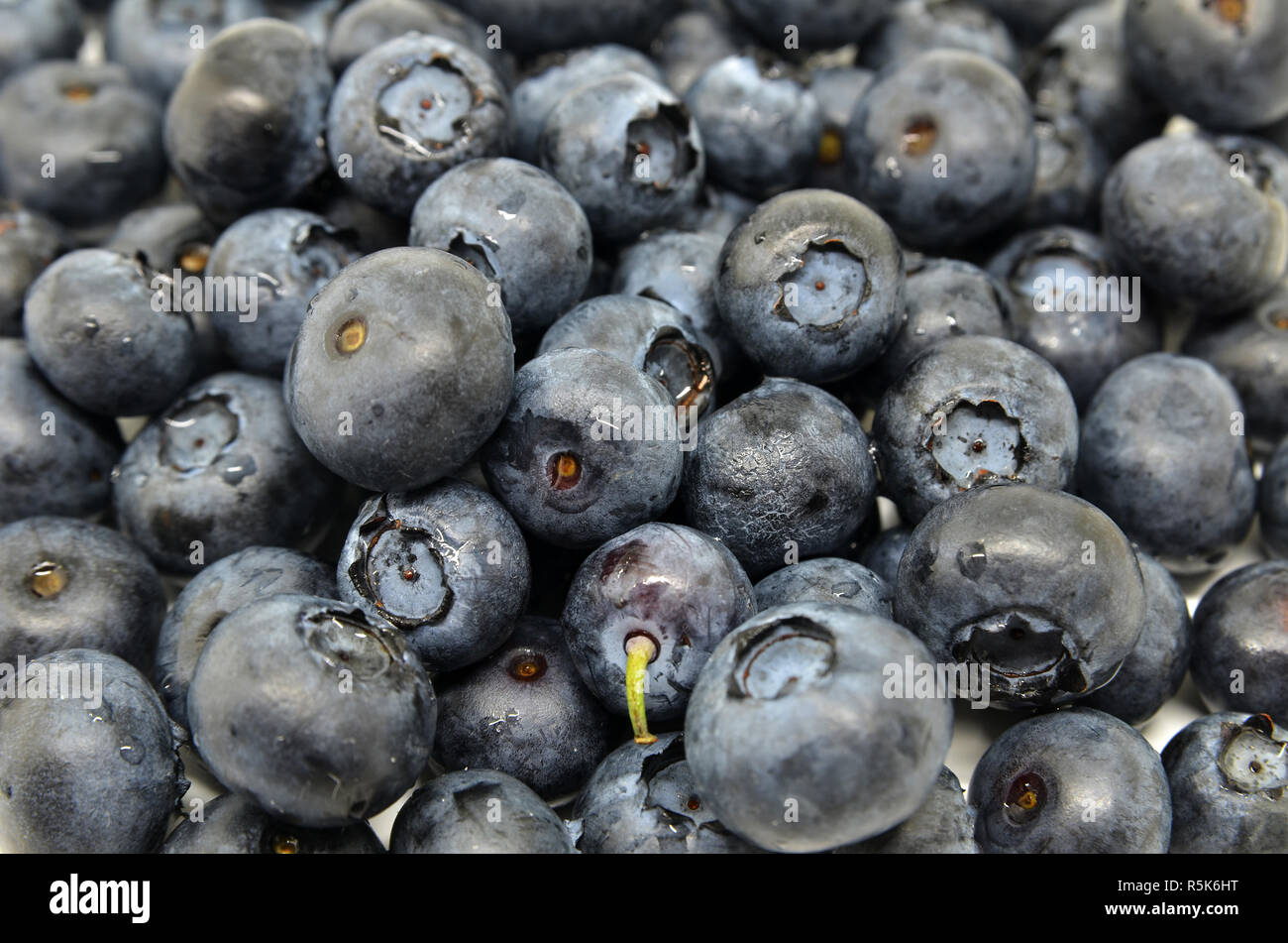 Tasty blueberries isolated Stock Photo - Alamy