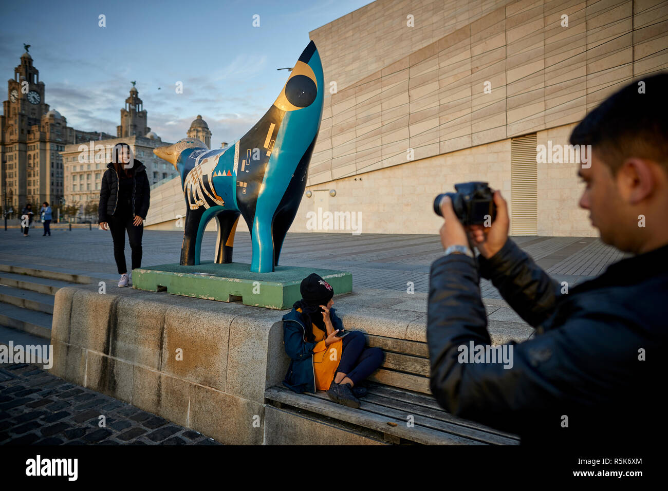 Superlambananas High Resolution Stock Photography and Images - Alamy