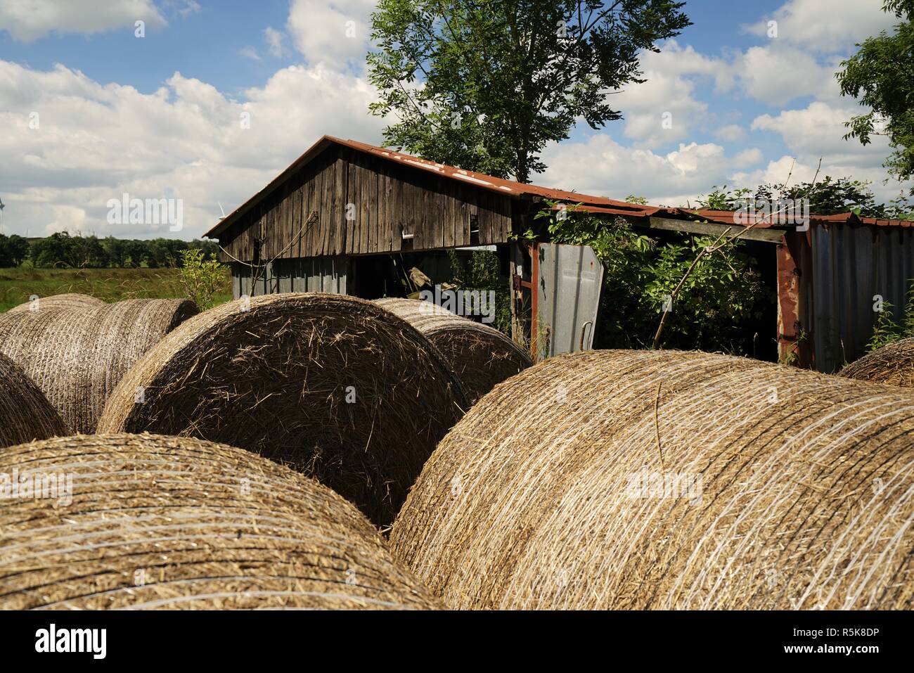 big straw bales under blue sky in summer Stock Photo - Alamy