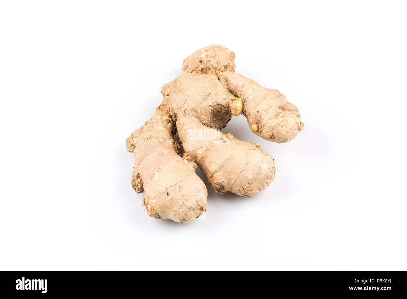 Camera raw image Cut Out Stock Images & Pictures - Alamy