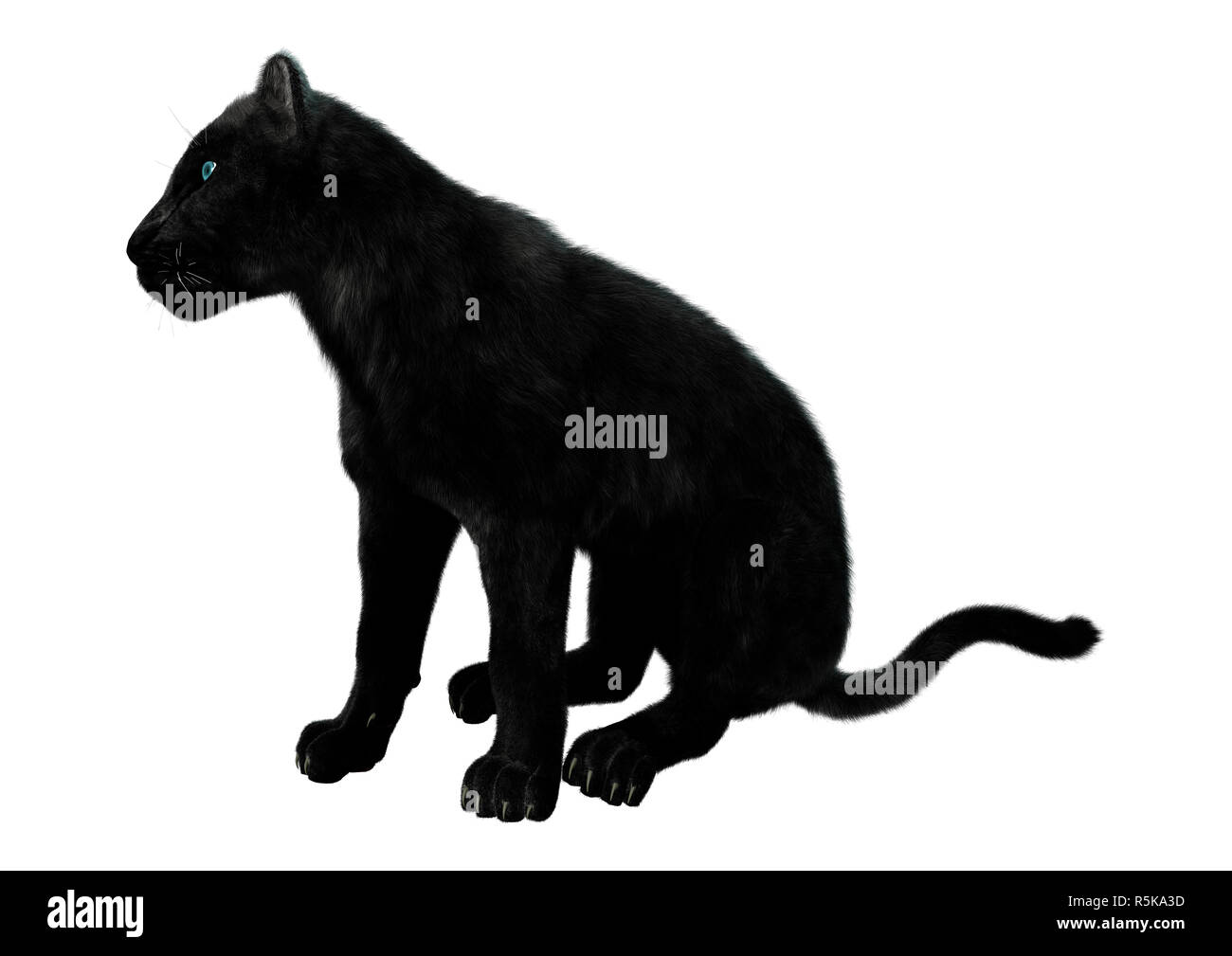 Panther view Cut Out Stock Images & Pictures - Alamy