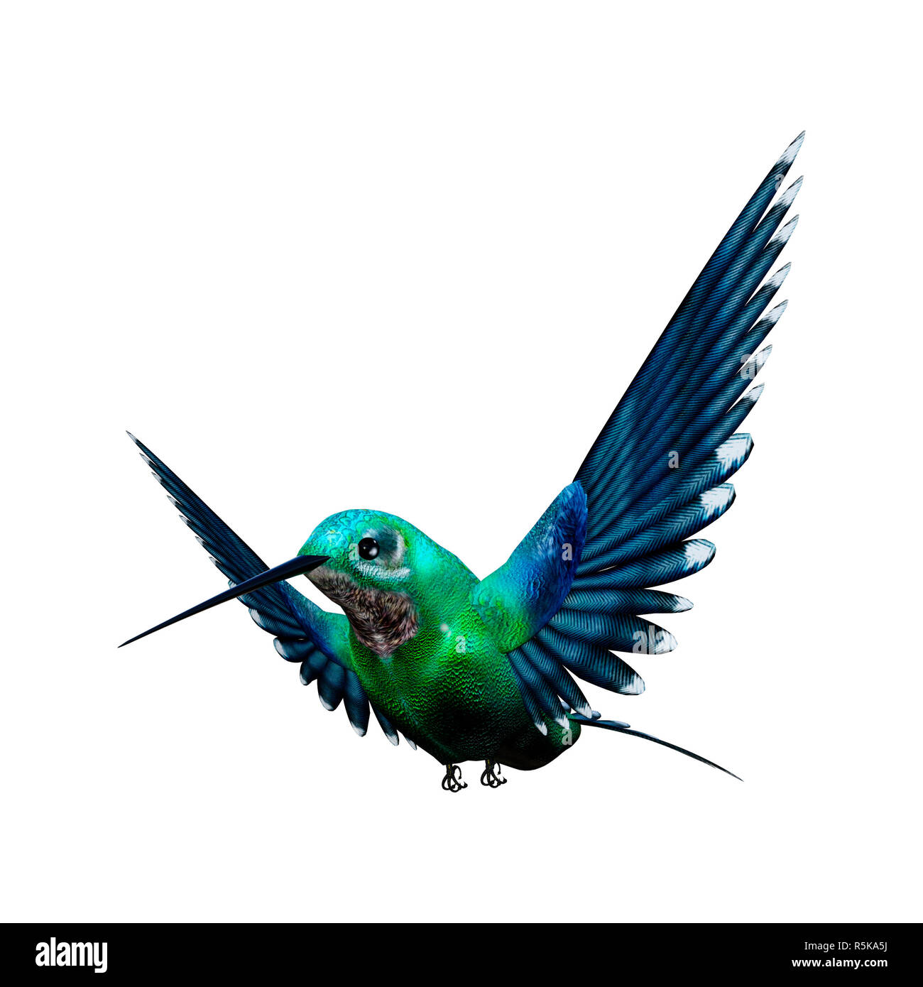 Short small beak Cut Out Stock Images & Pictures - Alamy