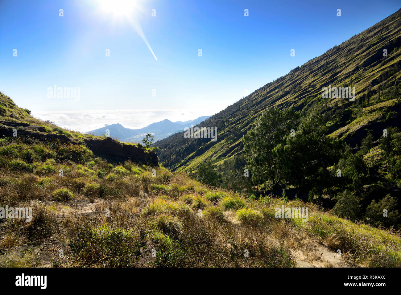 Green view on the edge senaru at Mount Rinjani Stock Photo - Alamy
